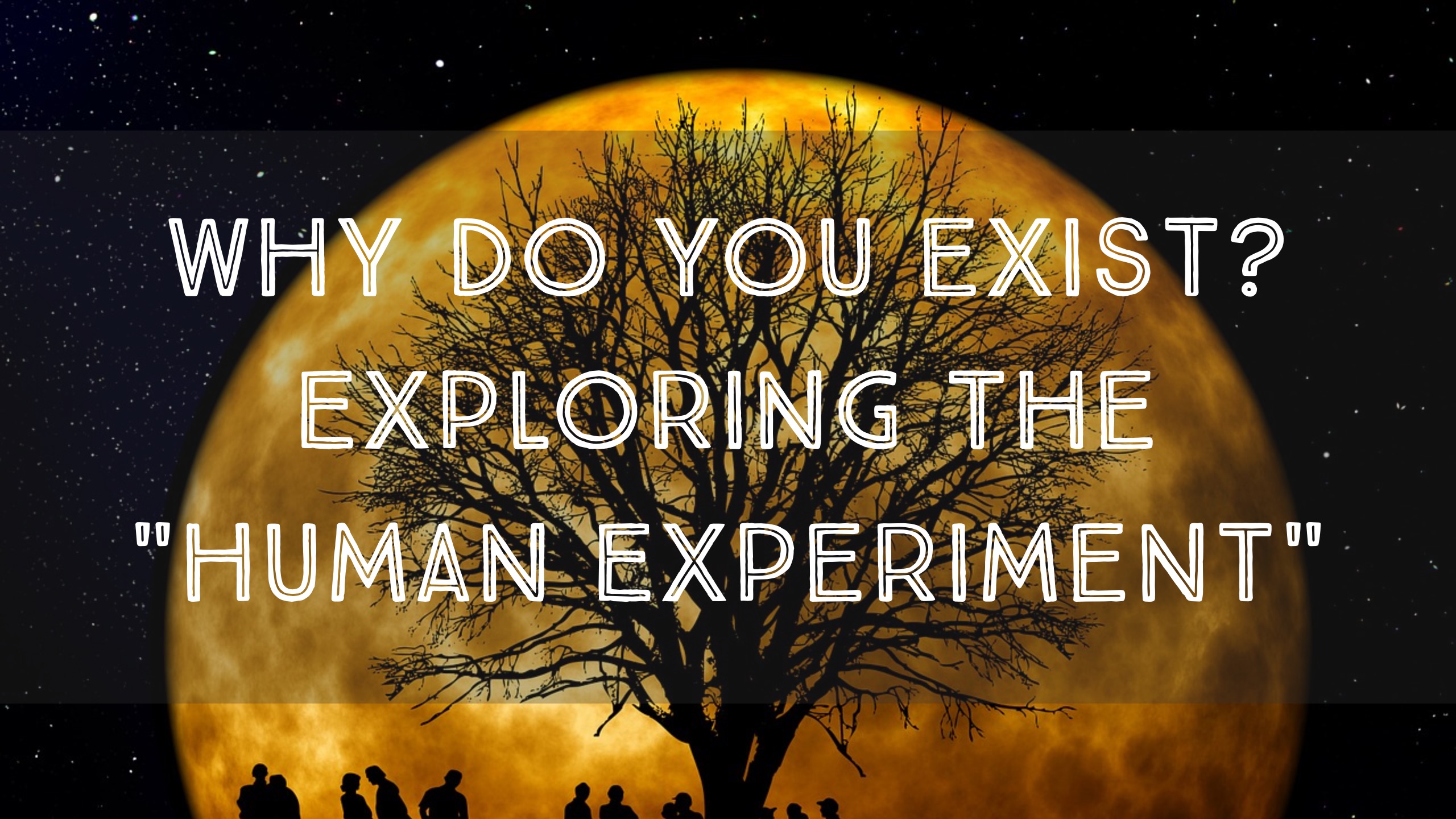 Why Do You Exist? Sebastien Martin Discusses the “Human Experiment ...