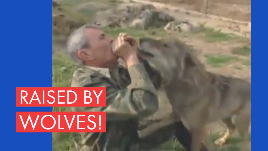 Man in Spain Raised by Wolves for 19 Years Feels Humanity Needs to be ...